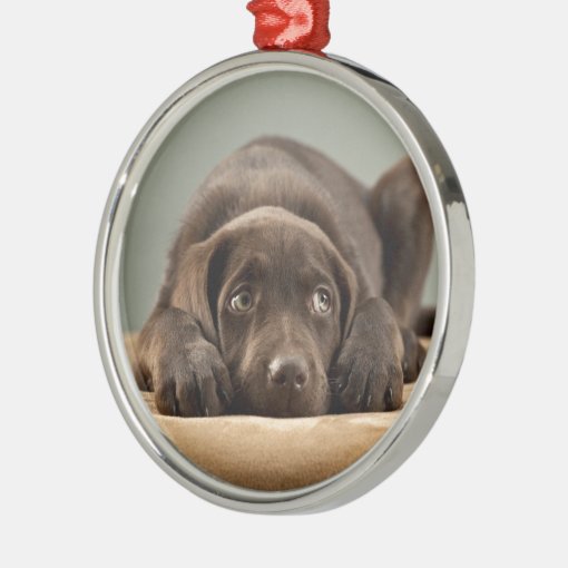 Adorable Chocolate Lab Puppy Design Metal Ornament | Zazzle
