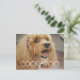 Adorable Cockapoo Dog Smiling Postcard | Zazzle
