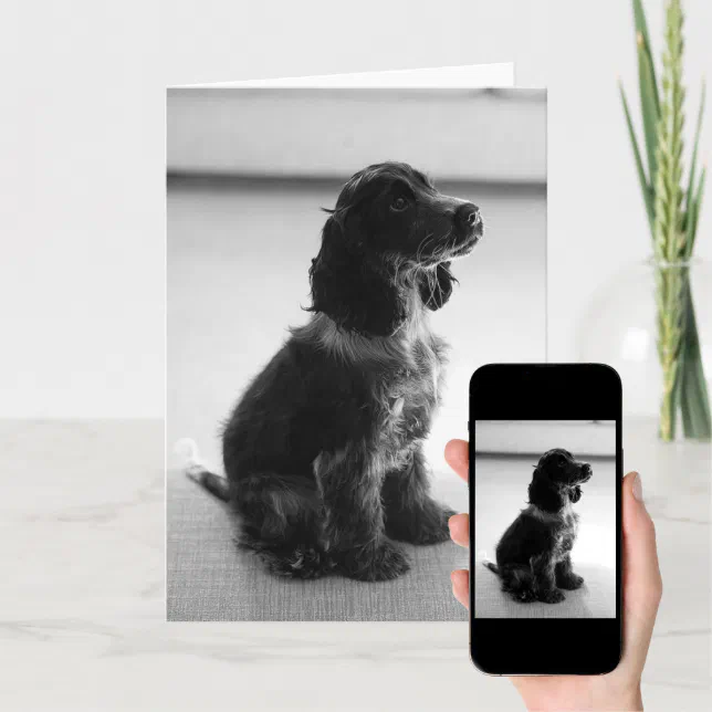 Adorable Cocker Spaniel Greetings Card | Zazzle