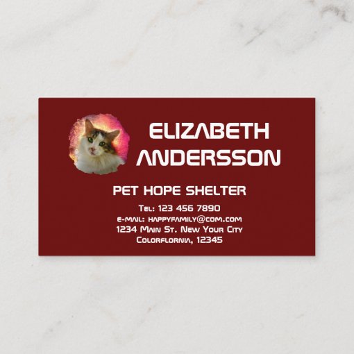 Adorable Cute Calico Cat Business Card | Zazzle