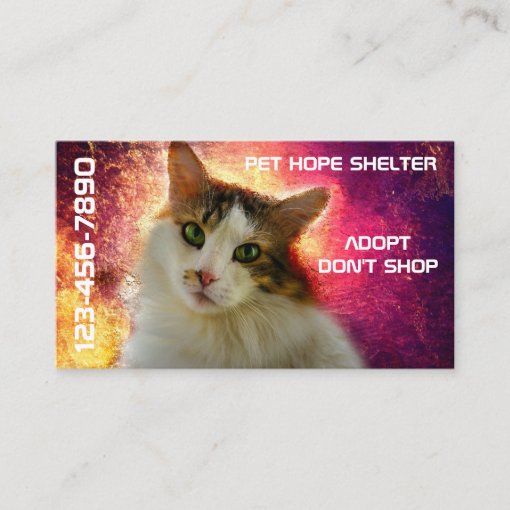 Adorable Cute Calico Cat Business Card | Zazzle