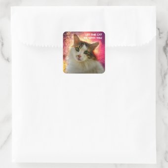 Adorable Cute Calico Cat Square Sticker | Zazzle