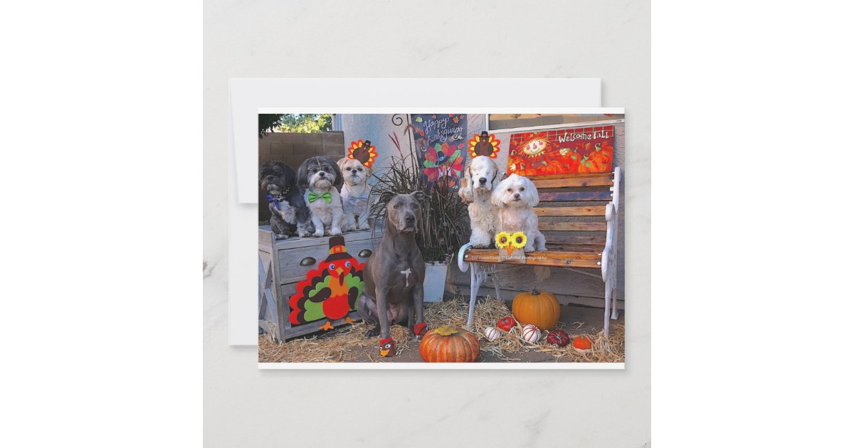 Adorable Dogs Happy Thanksgiving Greeting Card | Zazzle