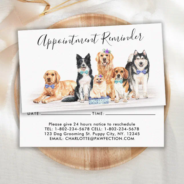 Adorable Dogs Pet Sitter Dog Groomer Business Appointment Card | Zazzle