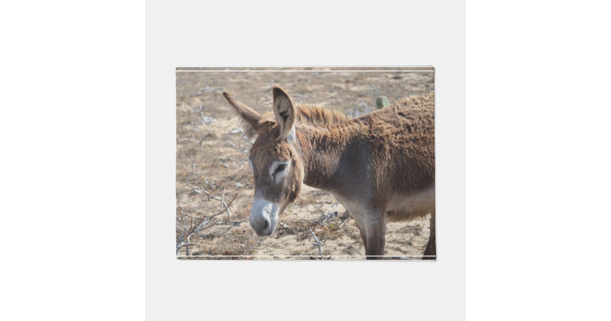 Adorable Donkey Doormat | Zazzle