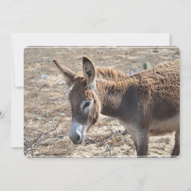 Adorable Donkey Invitation | Zazzle