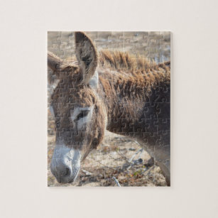 Donkey Jigsaw Puzzles | Zazzle