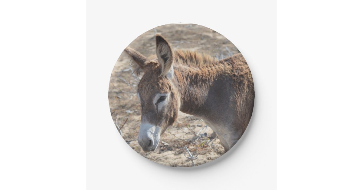 Adorable Donkey Paper Plates | Zazzle