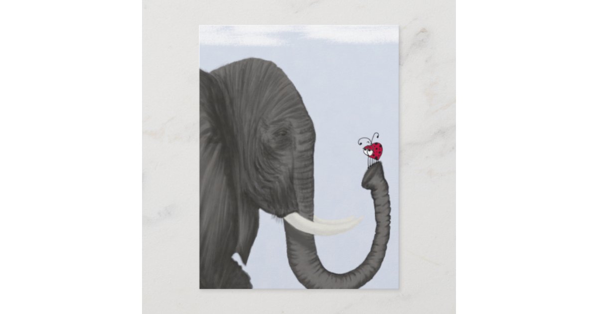 Adorable Elephant and Cute Ladybug Postcard | Zazzle
