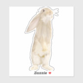 Adorable Fluffy Bunny Sticker | Zazzle