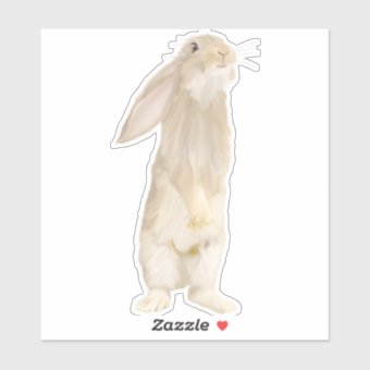 Adorable Fluffy Bunny Sticker | Zazzle