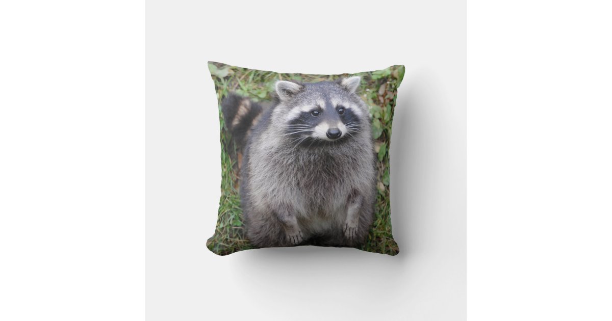 Adorable Furry Raccoon Throw Pillow | Zazzle