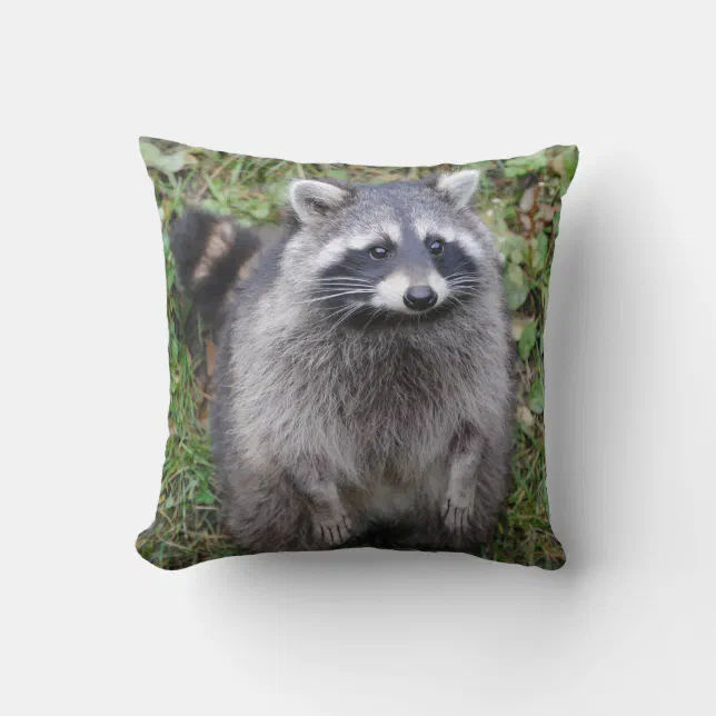 Adorable Furry Raccoon Throw Pillow | Zazzle