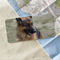 Adorable German Shepherd License Plate | Zazzle