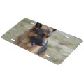 Adorable German Shepherd License Plate | Zazzle