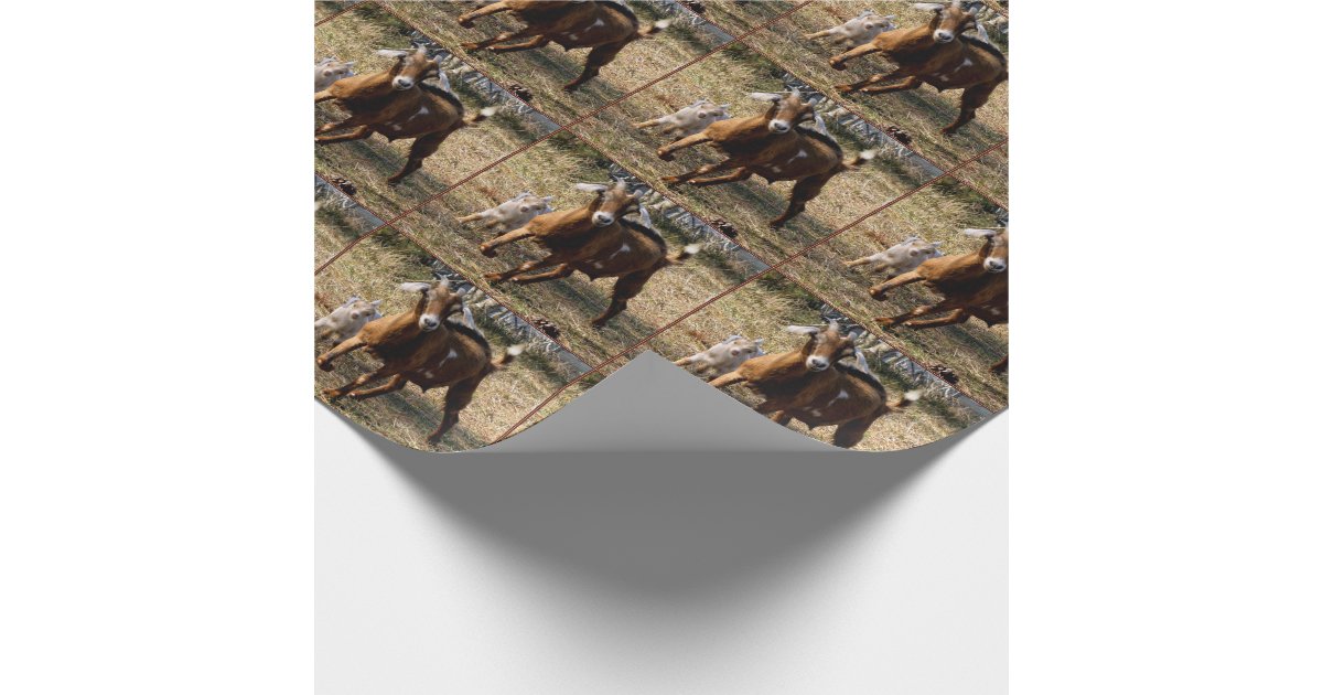 Adorable Goats Wrapping Paper | Zazzle