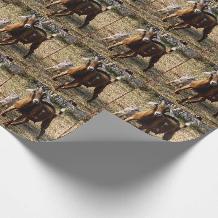 Adorable Goats Wrapping Paper | Zazzle