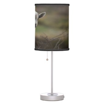 Adorable Kid Goat Table Lamp | Zazzle