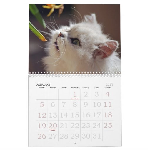 Adorable Kitten Calendar | Zazzle