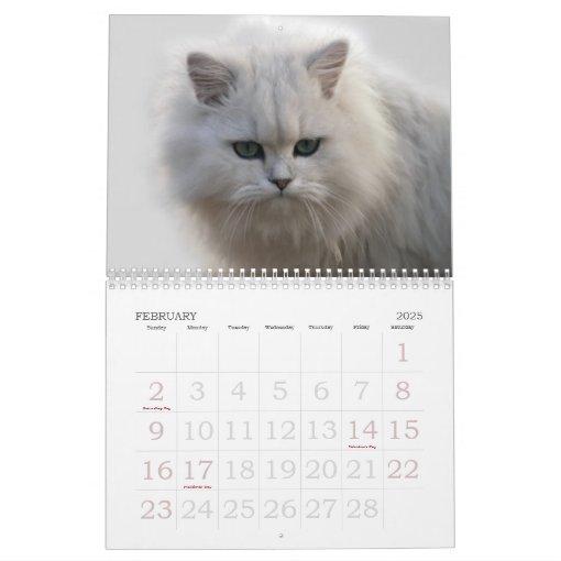 Adorable Kitten Calendar | Zazzle