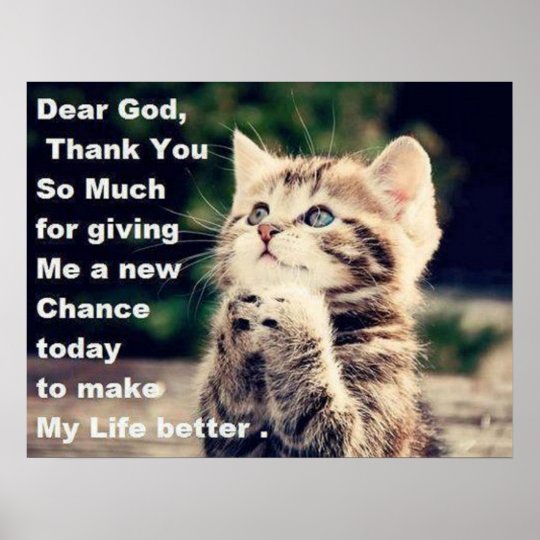 Adorable Praying Kitten Poster | Zazzle.com