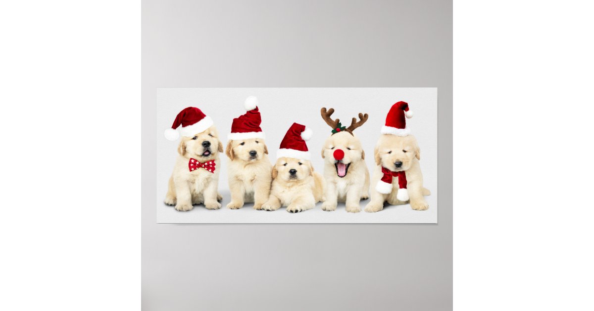 Adorable Puppies Poster | Zazzle