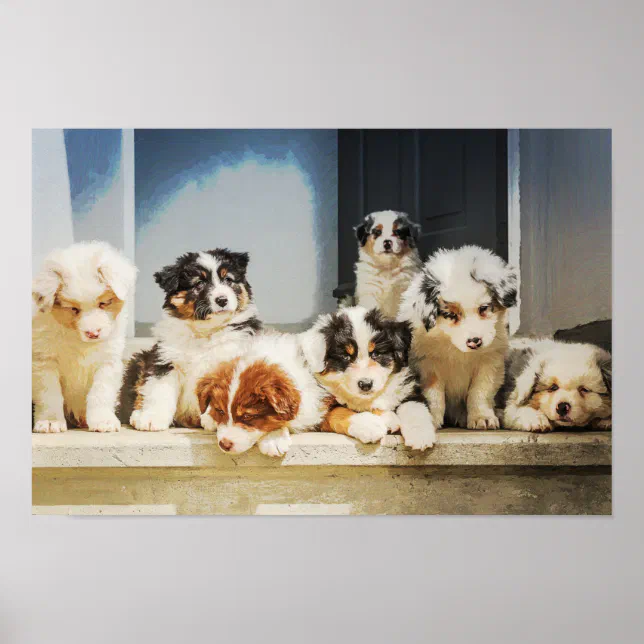Adorable Puppies Poster | Zazzle