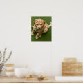 Adorable Puppy Photo Poster | Zazzle