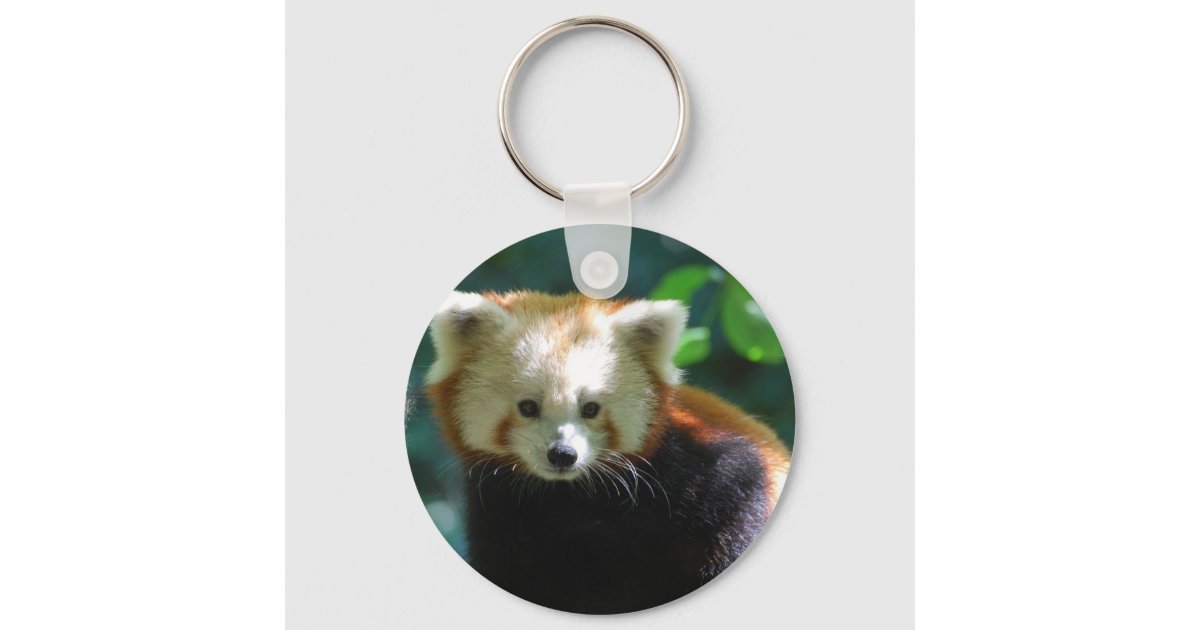 Adorable Red Panda Keychain | Zazzle