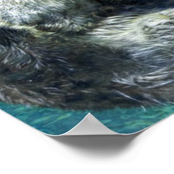 Adorable Sea Otter Cute Blue Water Poster | Zazzle