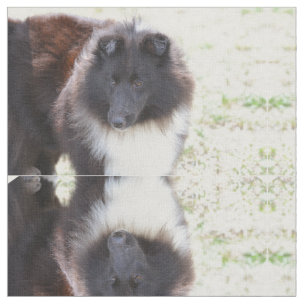 Sheltie On Fat Quarter Fabric | Zazzle