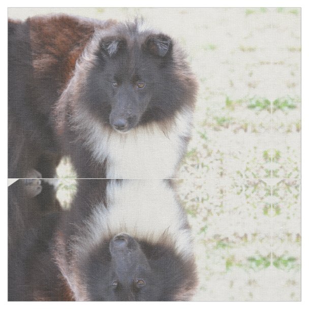 Sheltie On Fat Quarter Fabric | Zazzle