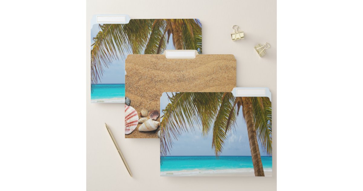 Adorable Tropical Beach, Palm,Seashells File Folder | Zazzle