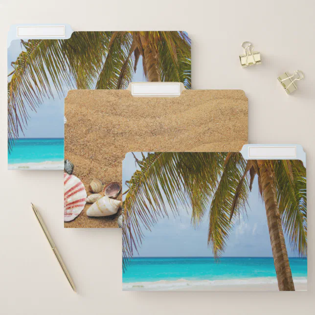 Adorable Tropical Beach, Palm,Seashells File Folder | Zazzle