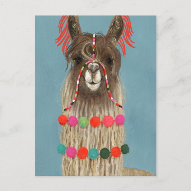 Personalized Llama Gifts on Zazzle