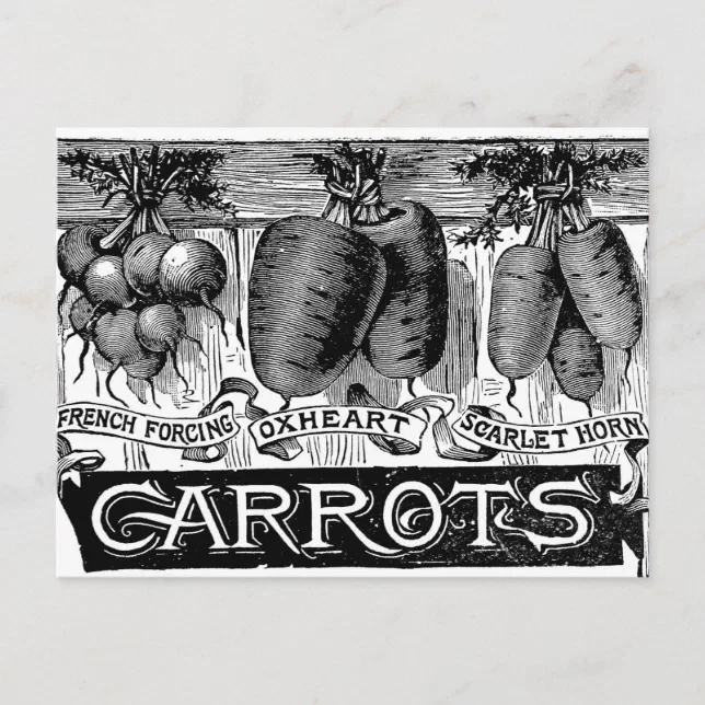 Advert 4 vintage carrots postcard | Zazzle