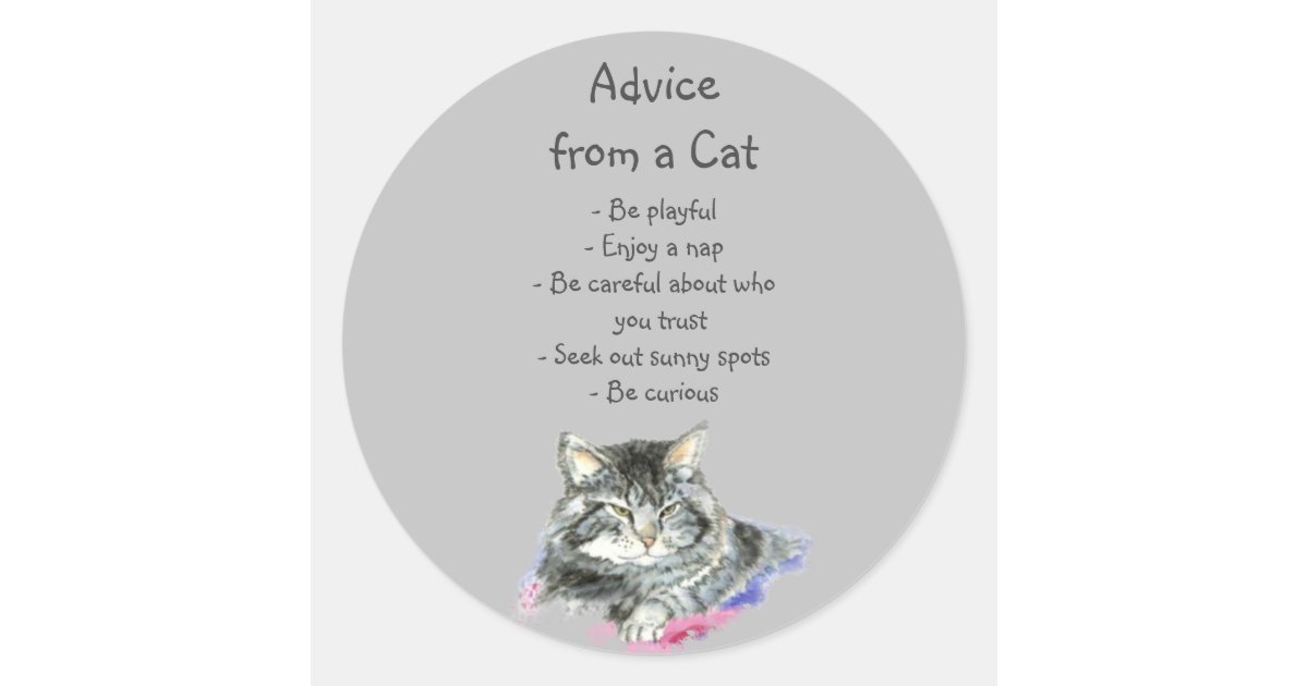 Advice from a Cat Fun Animal Humor Classic Round Sticker | Zazzle