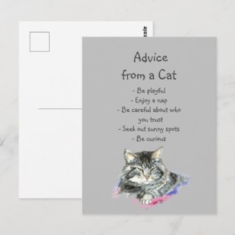 Advice from a Cat Fun Animal Humor Postcard | Zazzle