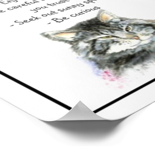 Advice from a Cat Fun Animal Humor Poster | Zazzle