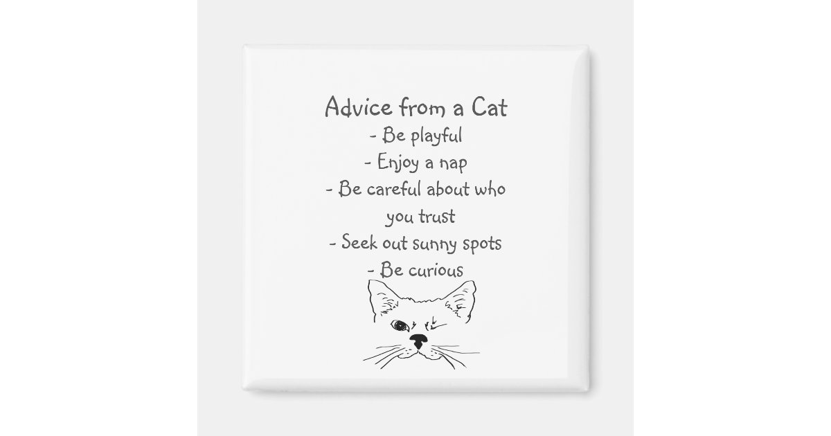 Advice from Winking Cat Fun Animal Humor Magnet | Zazzle