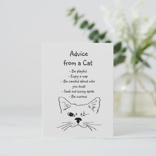Advice from Winking Cat Fun Animal Humor Postcard | Zazzle