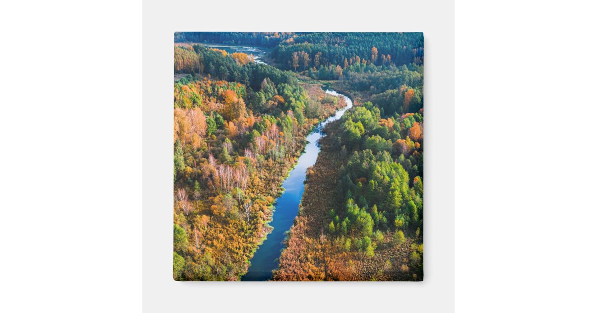 Aerial View of River and Colorful Forest in Autumn Magnet | Zazzle
