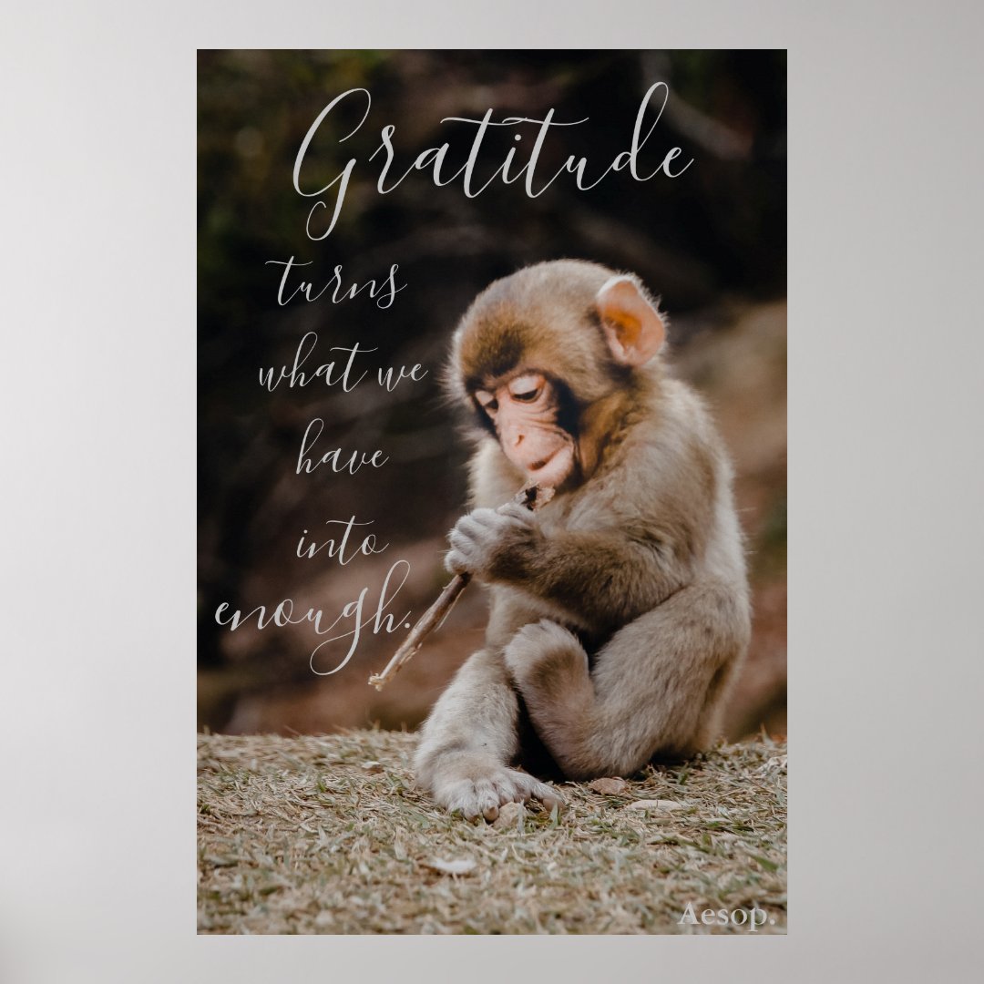 Aesop Gratitude Quote, monkey Poster | Zazzle