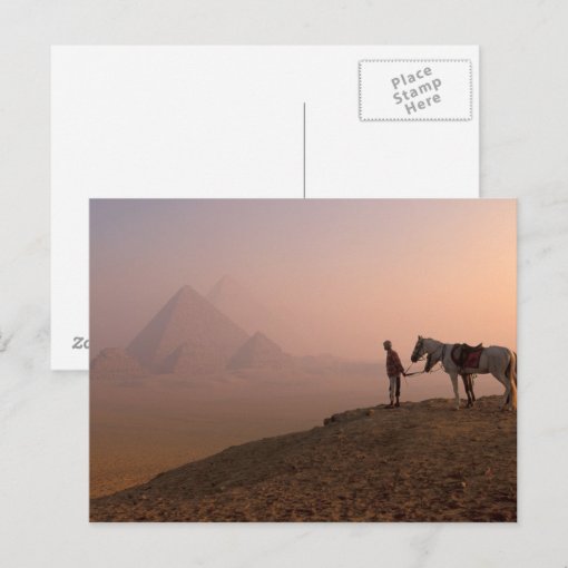 Africa, Egypt, Cairo, Giza, Giza pyramids at Postcard | Zazzle