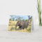Africa-Elephant and Kenyan Proverb Thank You Card | Zazzle