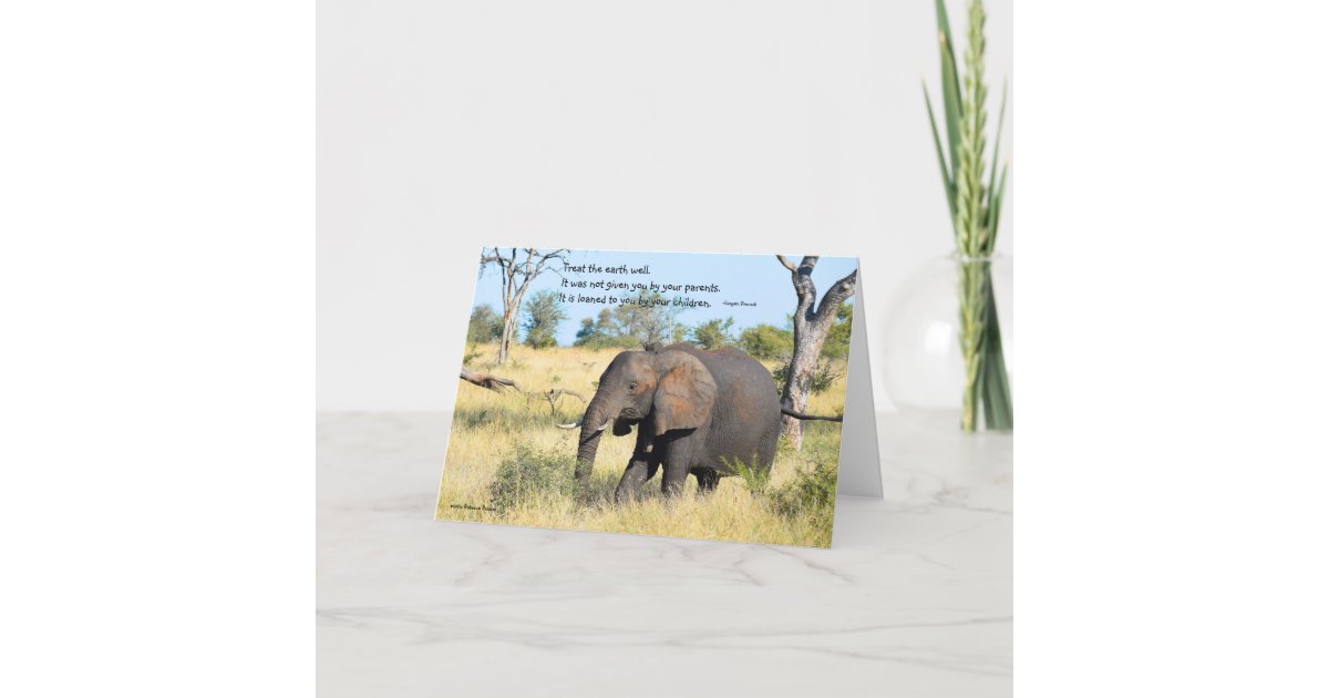Africa-Elephant and Kenyan Proverb Thank You Card | Zazzle