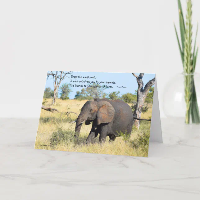 Africa-Elephant and Kenyan Proverb Thank You Card | Zazzle