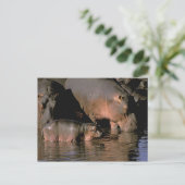 Africa, Kenya, Masai Mara. Common hippopotamuses Postcard | Zazzle
