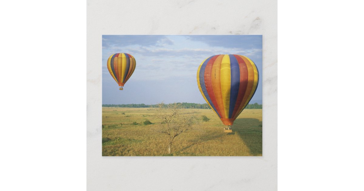 Africa, Kenya, Masai Mara National Preserve, Postcard | Zazzle