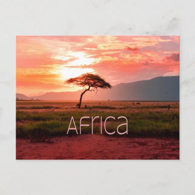 Africa Sunset African Postcard | Zazzle